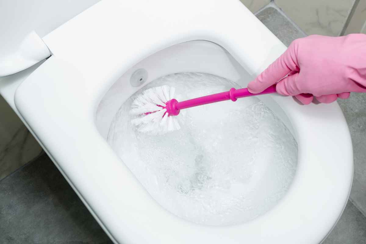 Svanemærket WC Rens: Effektiv rengøring med fokus på bæredygtighed ...